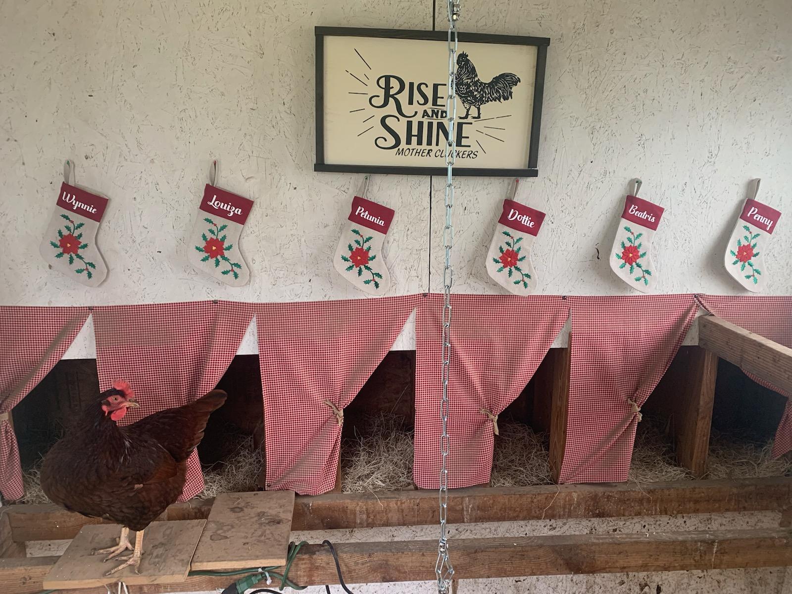 Christmas on the farm – Farm Fresh Adventures